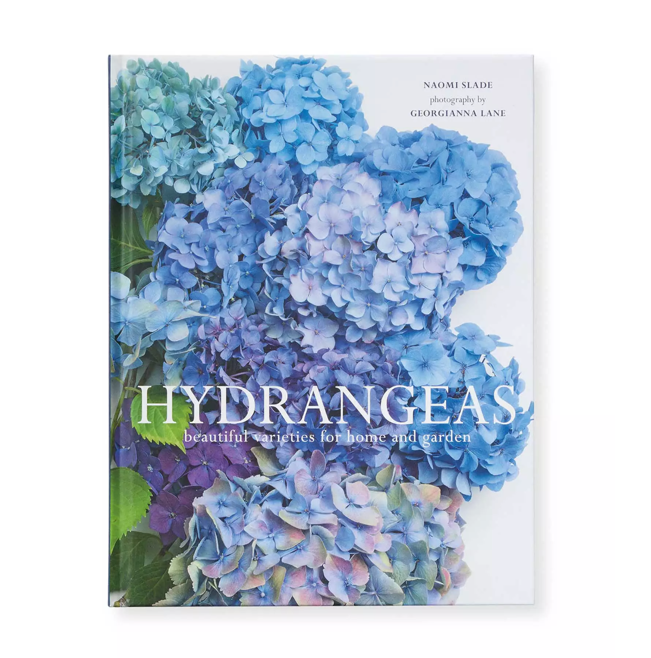Hydrangeas – H A V E N